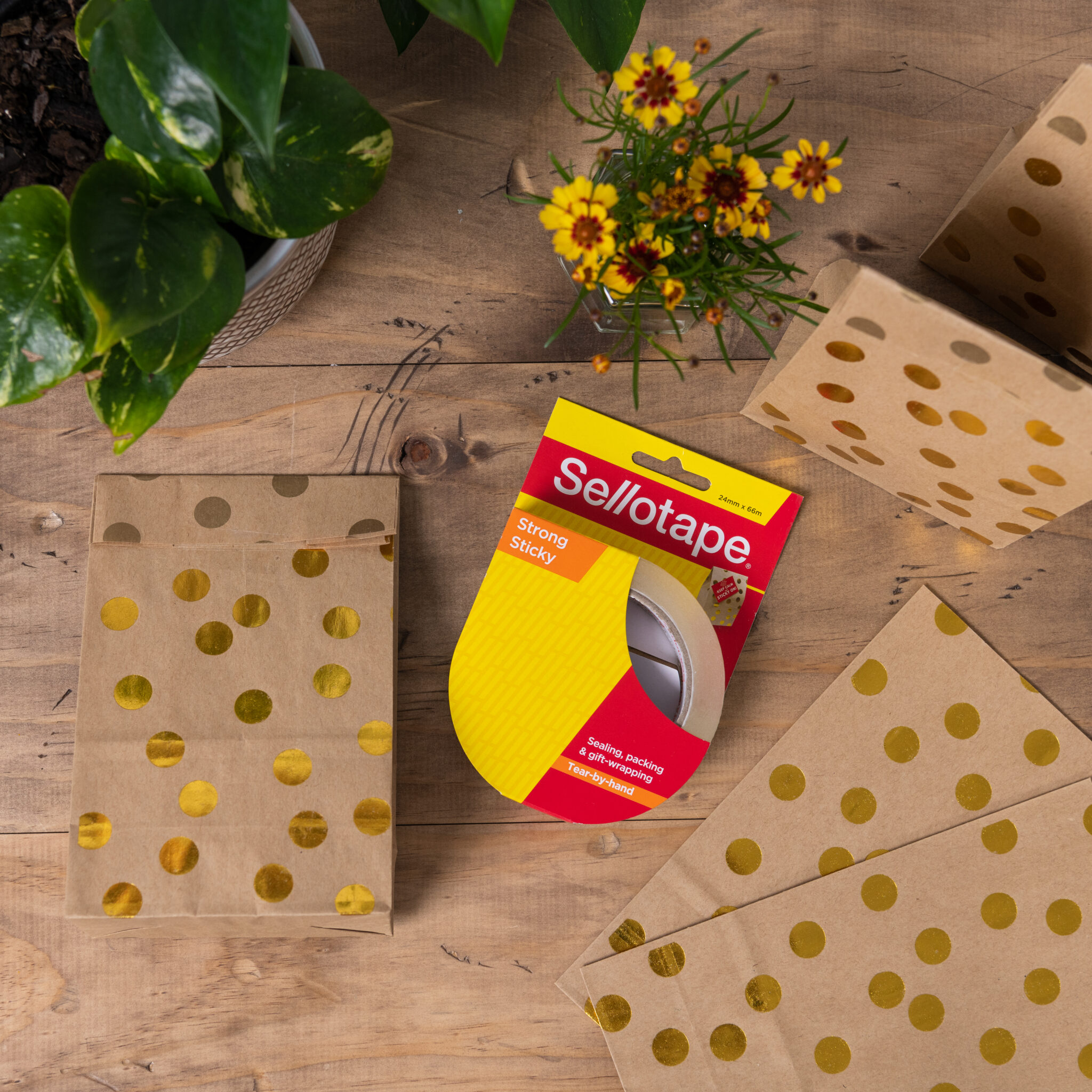 Sellotape Sticky Tape - Clear, Glossy Adhesive Tapes